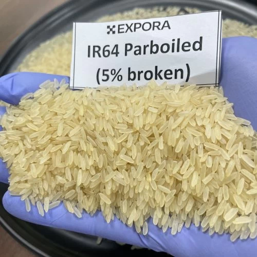 Buy Ir 64 Parboiled Rice from Expora - Aspirarch Market Platforms Pvt ...