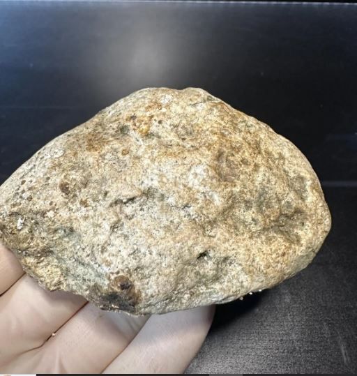Buy Sperm Whale Ambergris from Southeast Family Farm, USA | Tradewheel.com