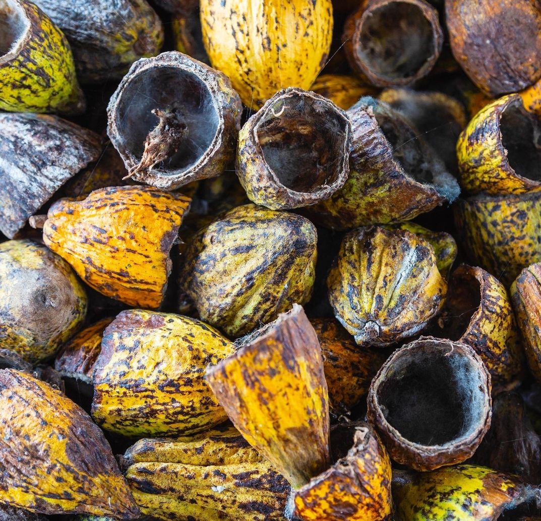 Buy Cocoa Pod Shell (cps) from Rodishgord Company Limited, Ghana ...