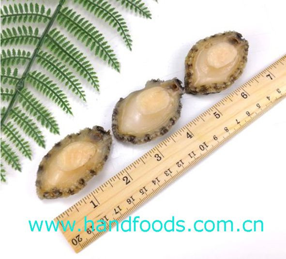 Buy Frozen Cooked Abalone Meat from Hand Foods (Dalian) Co., Ltd ...