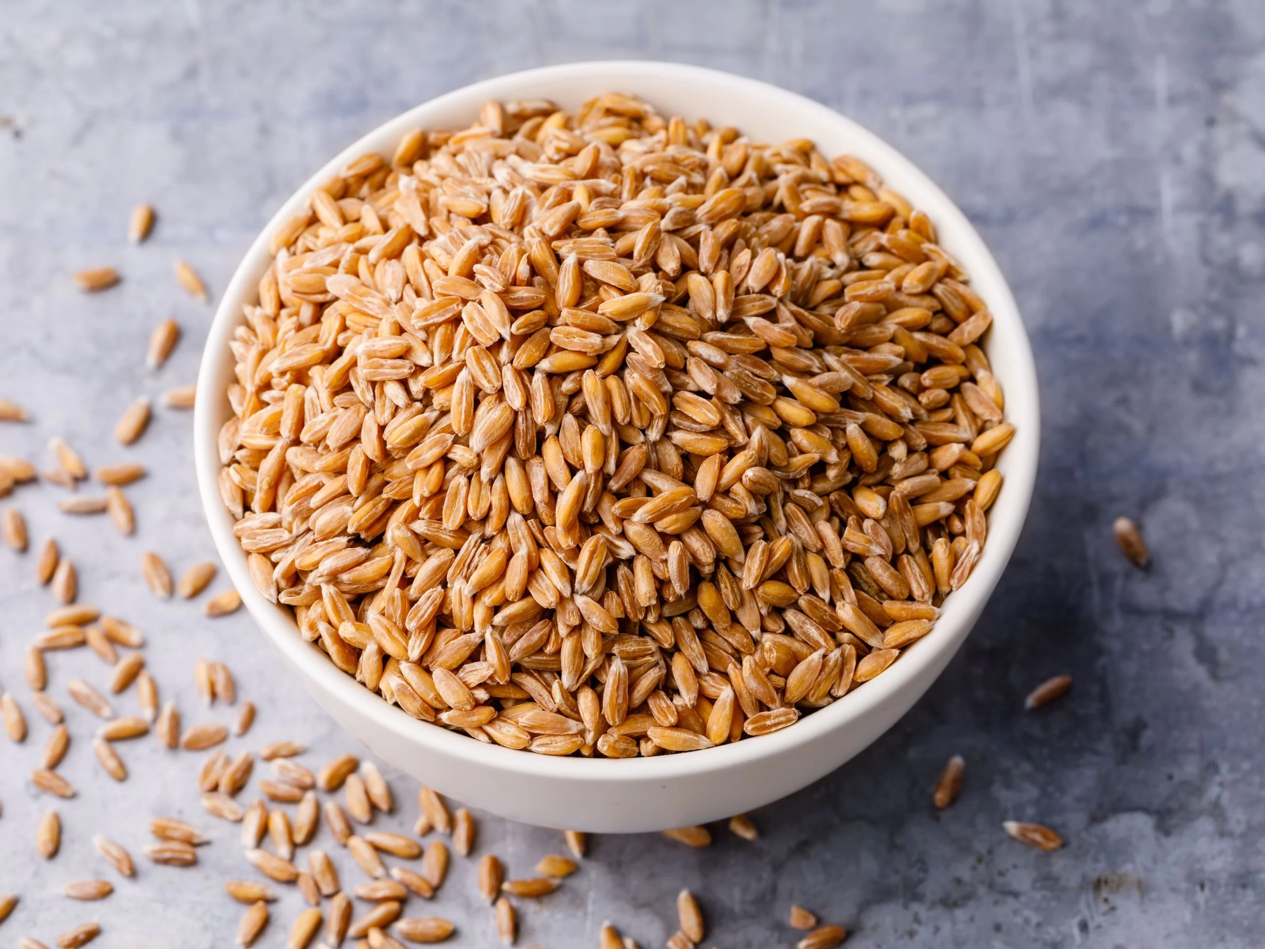 Buy Canadian Wheat & Grains from Germain Distribution, Canada ...