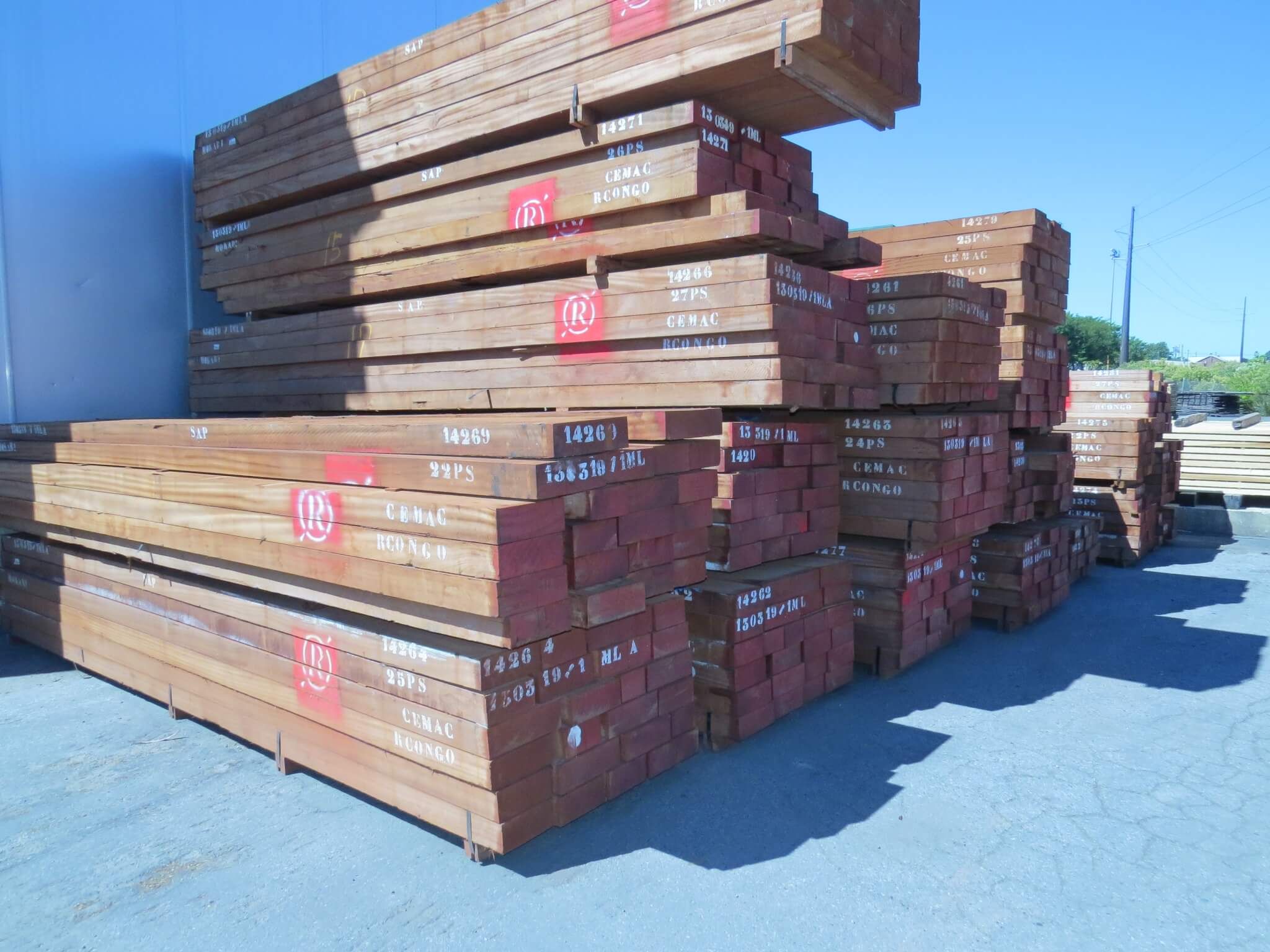 Buy Cameroon Timber Wood For Sale | Sapele Timber Wood For Export from ...