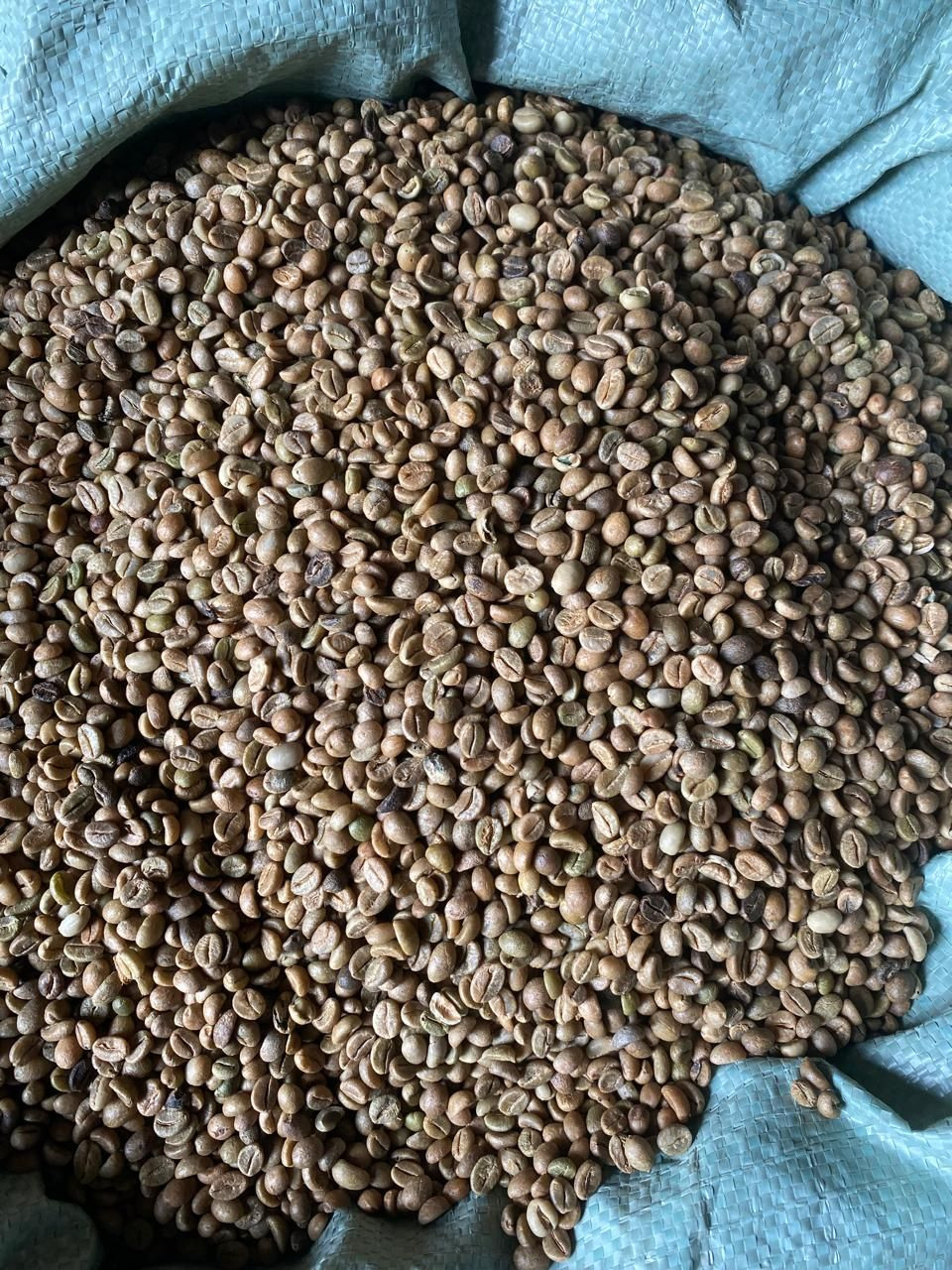 Buy Coffee Robusta Premium Comercial (angola Origin) from The Bridge ...