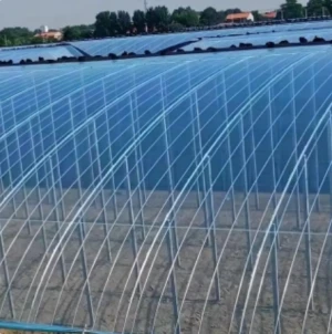 Buy Custom Uv Resistant Po Film Agricultural Greenhouse Uv Plastic ...