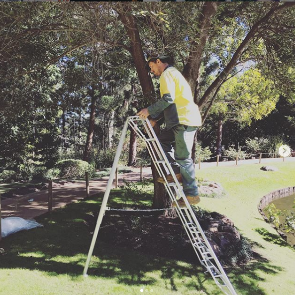 Buy Dr.ladder Garden Tree Tripod Aluminium Step Agricultural Ladders ...