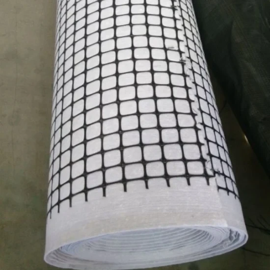Buy Grid Gravel Grid Paver Geogrid Ground Grid Paver Asphalt ...