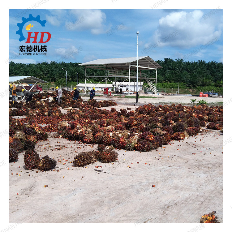 Buy High Yield Palm Fruit Oil Processing Line Palm Fruit Oil Presser ...