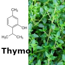 Buy Natural Pure Thymol 99.5% Powder Thymol Bulk Synthetic Thymol ...