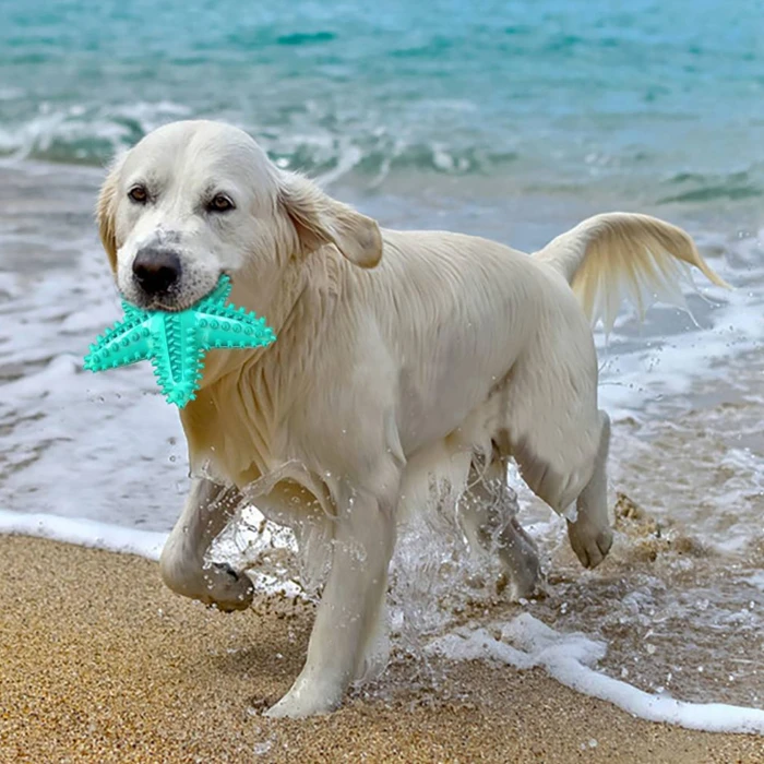 Buy Pet Starfish-shaped Floating Sounding Teething Stick Dog Plastic ...