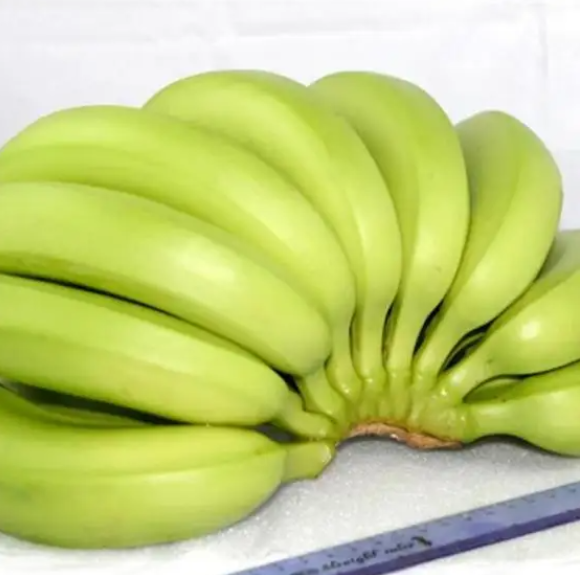 Buy Fresh Green Cavendish Banana For Sale/ Fresh Green Cavendish ...