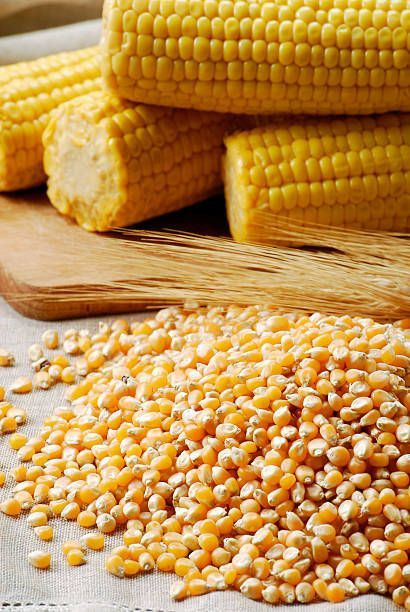 Buy Corn from Demta Group, Republic of Türkiye | Tradewheel.com