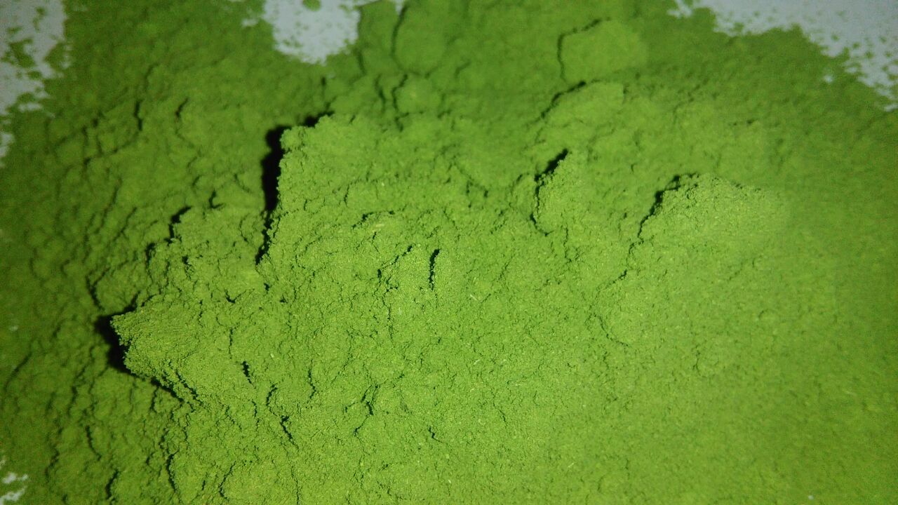 Buy Moringa Leaves Powder from SVM EXPORTS, India | Tradewheel.com