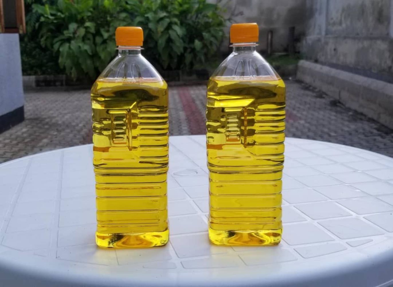 Buy Palm Olein Cp8 Cp10 – Refined Palm Oil For Cooking | Vegetable Oil ...