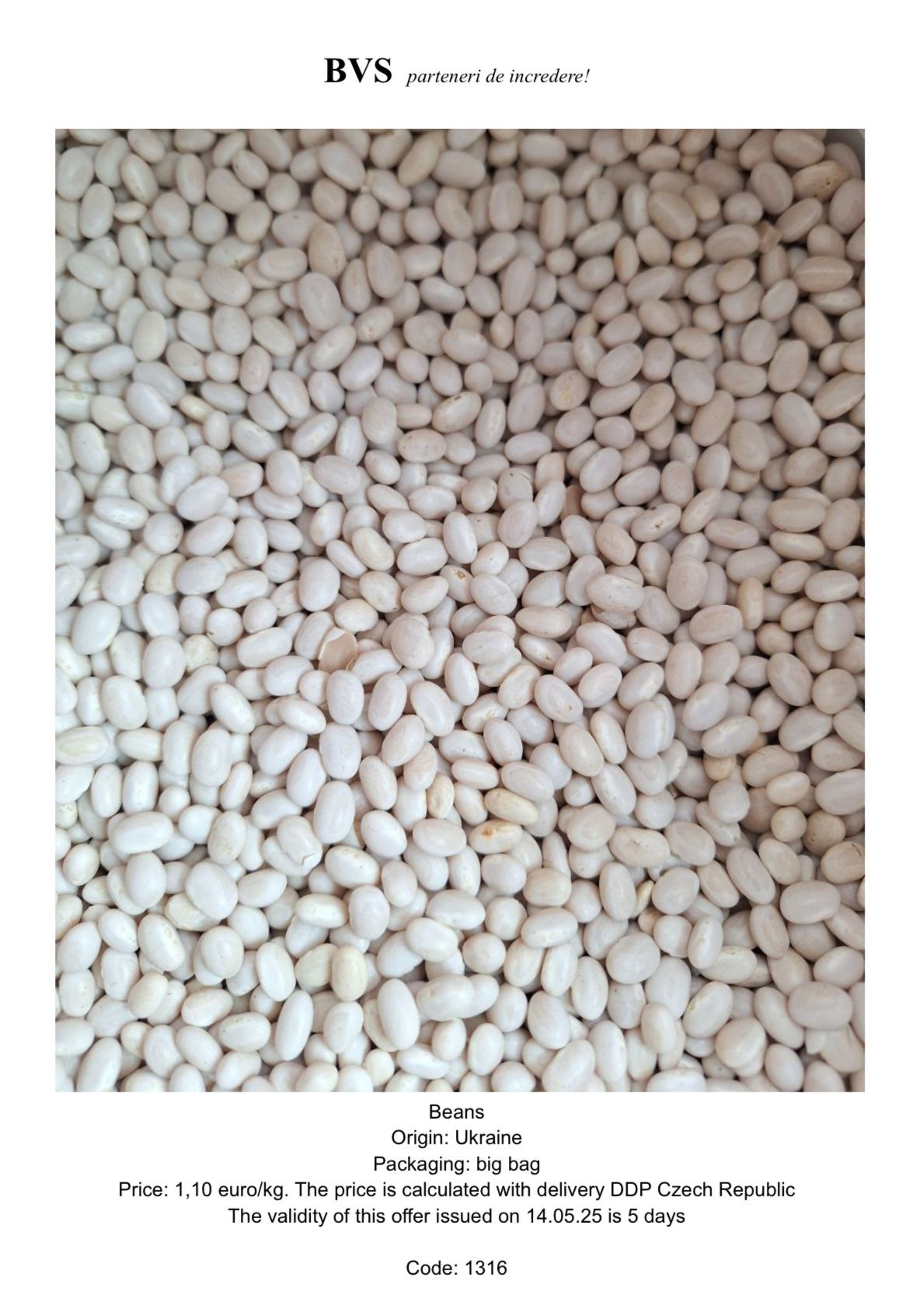 Buy Beans from Batrix Expo, Poland | Tradewheel.com