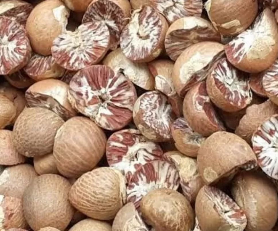 Buy Premium Whole Betel Nut 80/85 Grade – Export Quality From Indonesia ...