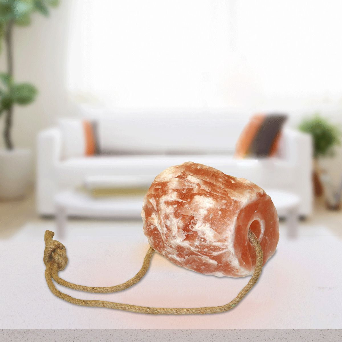 Buy Himalayan Pink Salt Animal Lick from Salt Bay LLC, Pakistan ...