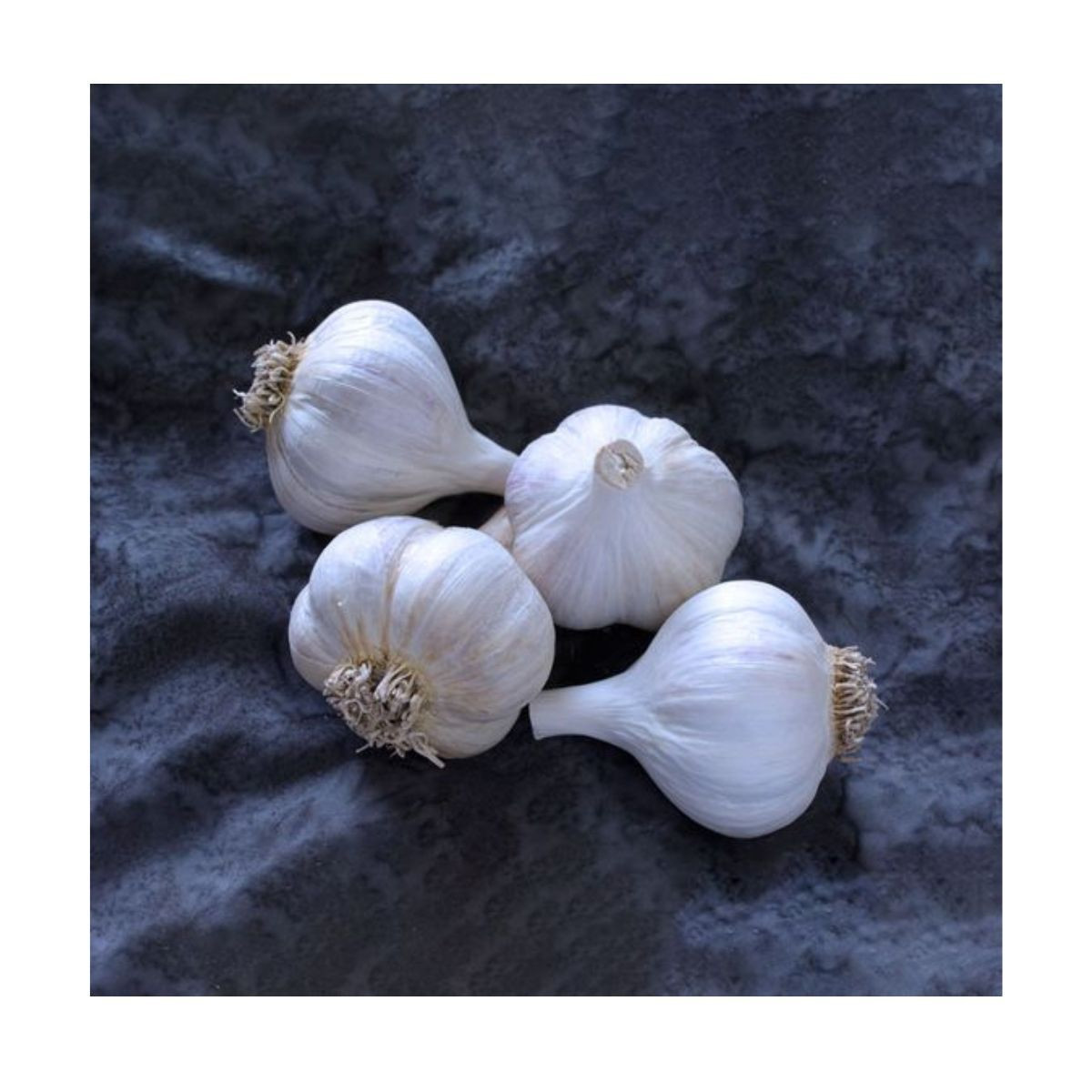 Buy Fresh Garlic 4cm–6cm | Farm Fresh | 5kg–20kg Mesh Bags from ...