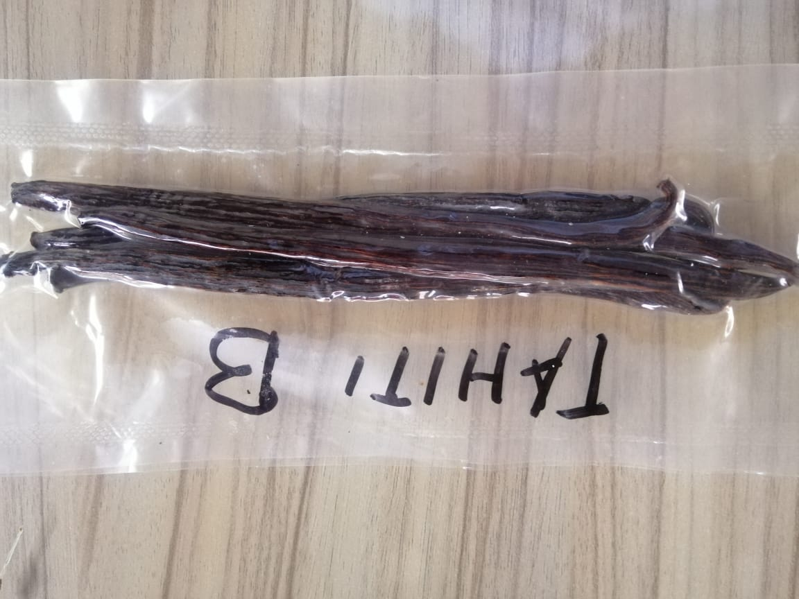 Buy Vanilla Stick Beans from Pt. Mejez Centenial Cemerlang, Indonesia ...