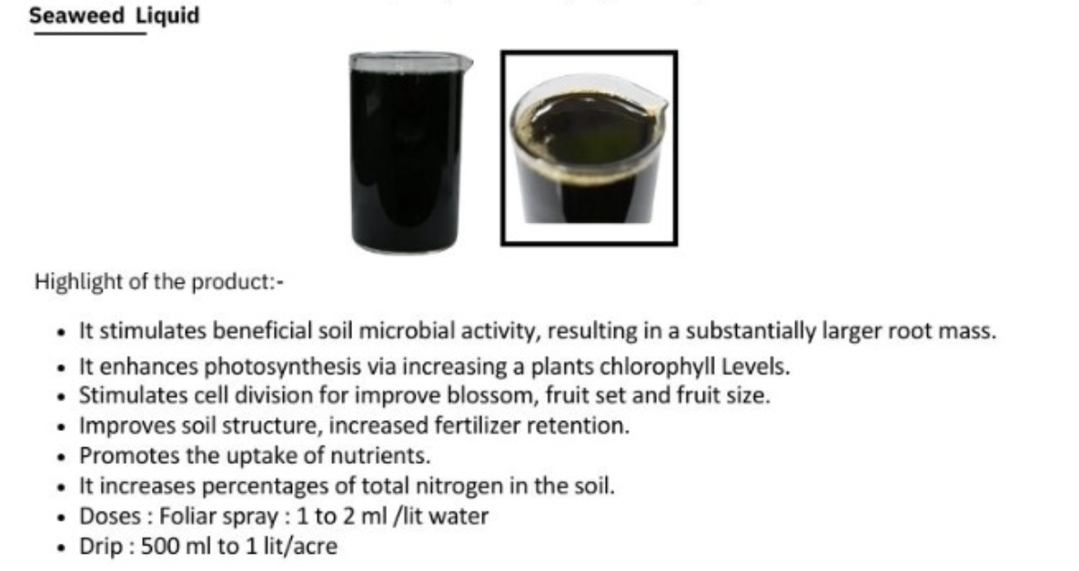 Buy Seaweed Extract from SMIT IMPEX ENTERPRISE, India | Tradewheel.com