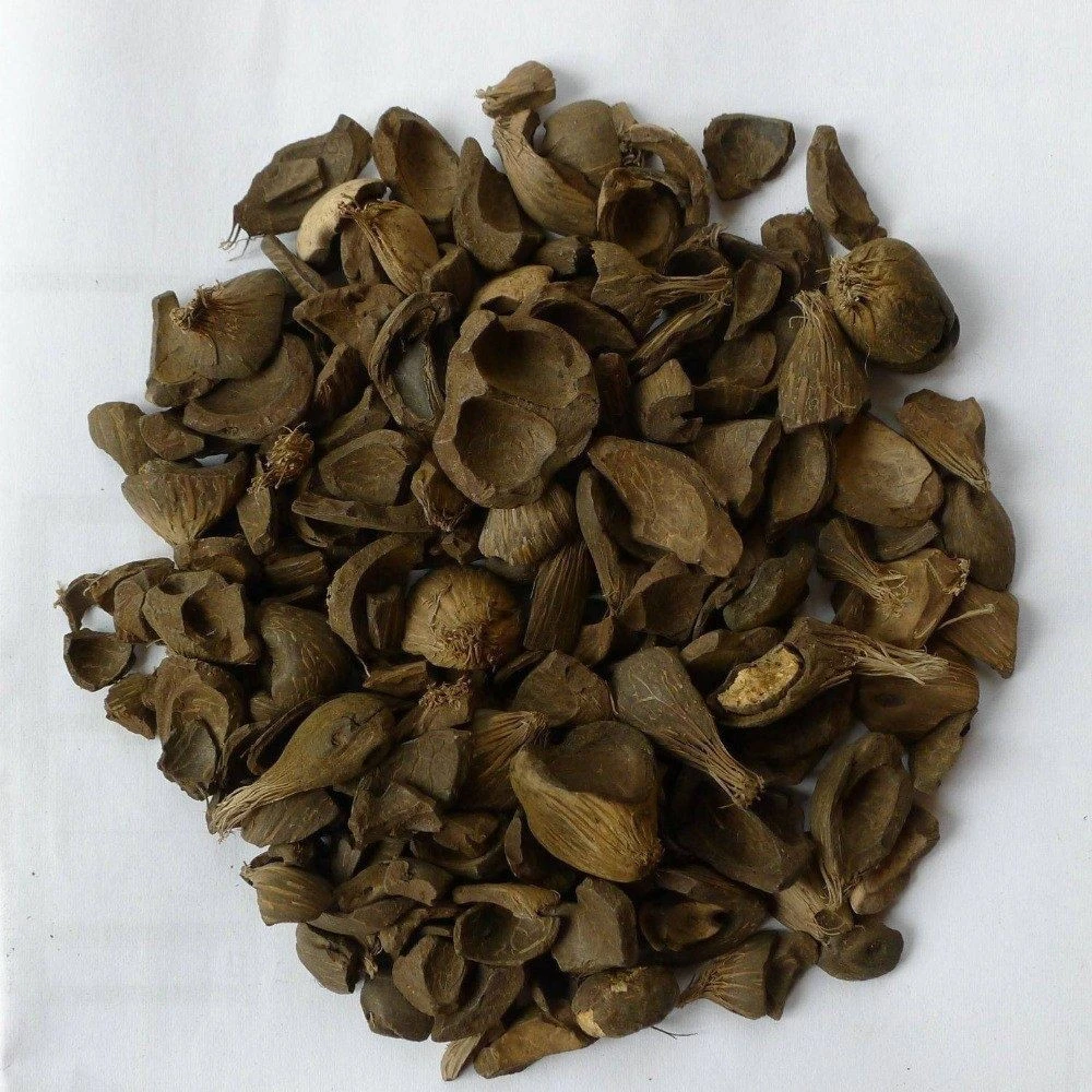 Buy Palm Kennel Shell,moringa Seeds from LINDILE AND SONS SUPPLIES PTY ...