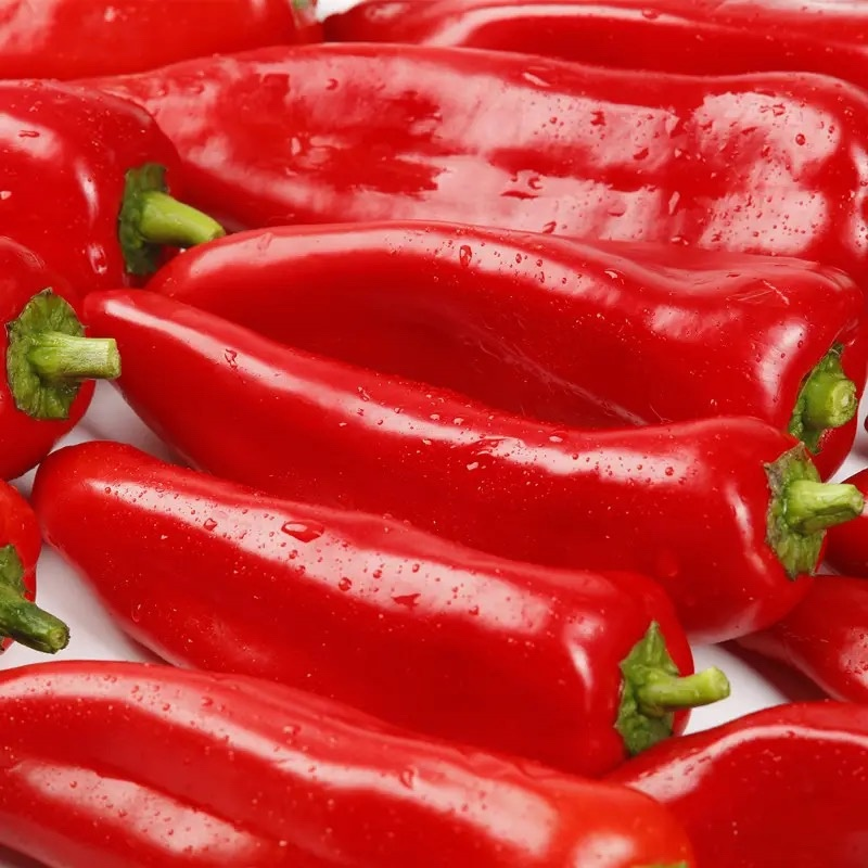 Buy Fresh Red Chili Whole Bell Pepper For Wholesalers from Markco Polo ...