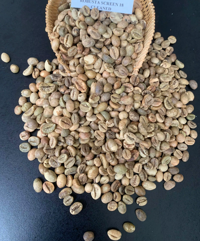 Buy New Crop Premium Whole Robusta Coffee Beans from Landove ...