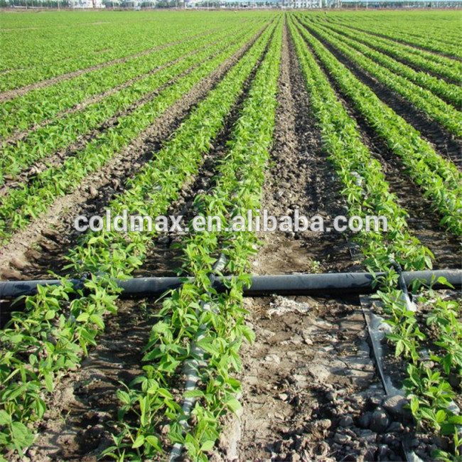 Buy Agriculture Farming Cheap Price 16mm T Tape Drip Irrigation from ...