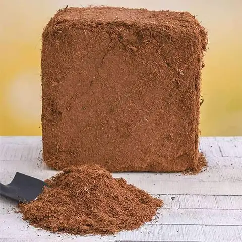 Buy Coco Peat Block 5 Kg For Growing Plant Low Ec from DAI LOC VINA ...