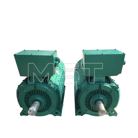 Buy Custom Variable Frequency Three Phase Asynchronous Squirrel Cage Cast Iron Housing ...