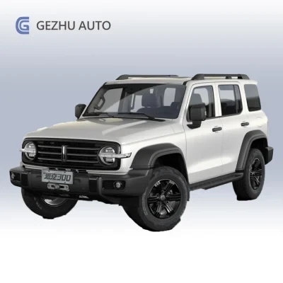Buy In Stock Changcheng Brand Car Tank 300 Fast Speed Suv Gasoline Cars ...