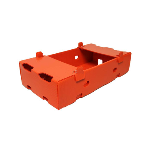 Buy Pp Hollow Plastic Box/custom Corrugated Plastic Boxes from Dongguan ...