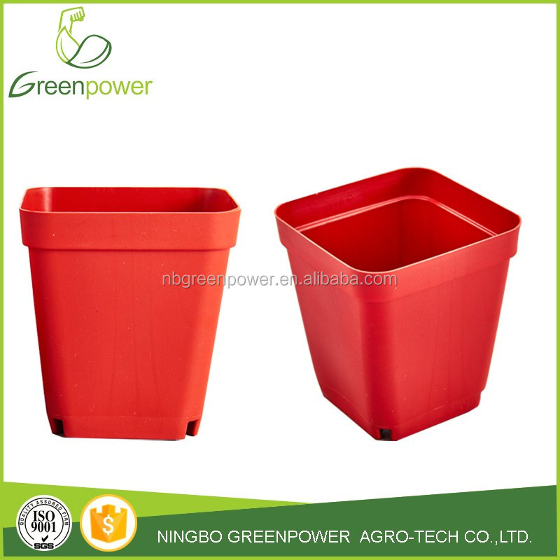 Buy Small Square Flower Pot Mini Gardening Plastic Nursery Pots Square ...
