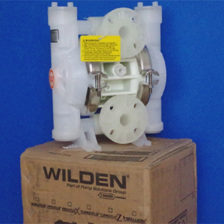 Buy Wilden P2 Aodd Diaphragm Low Pressure Solvent Pump For High ...