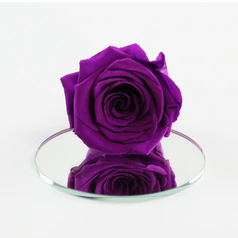 Buy Yunnan A Grade 4-5 Cm Eternal Roses Dried Flower Blue Purple ...