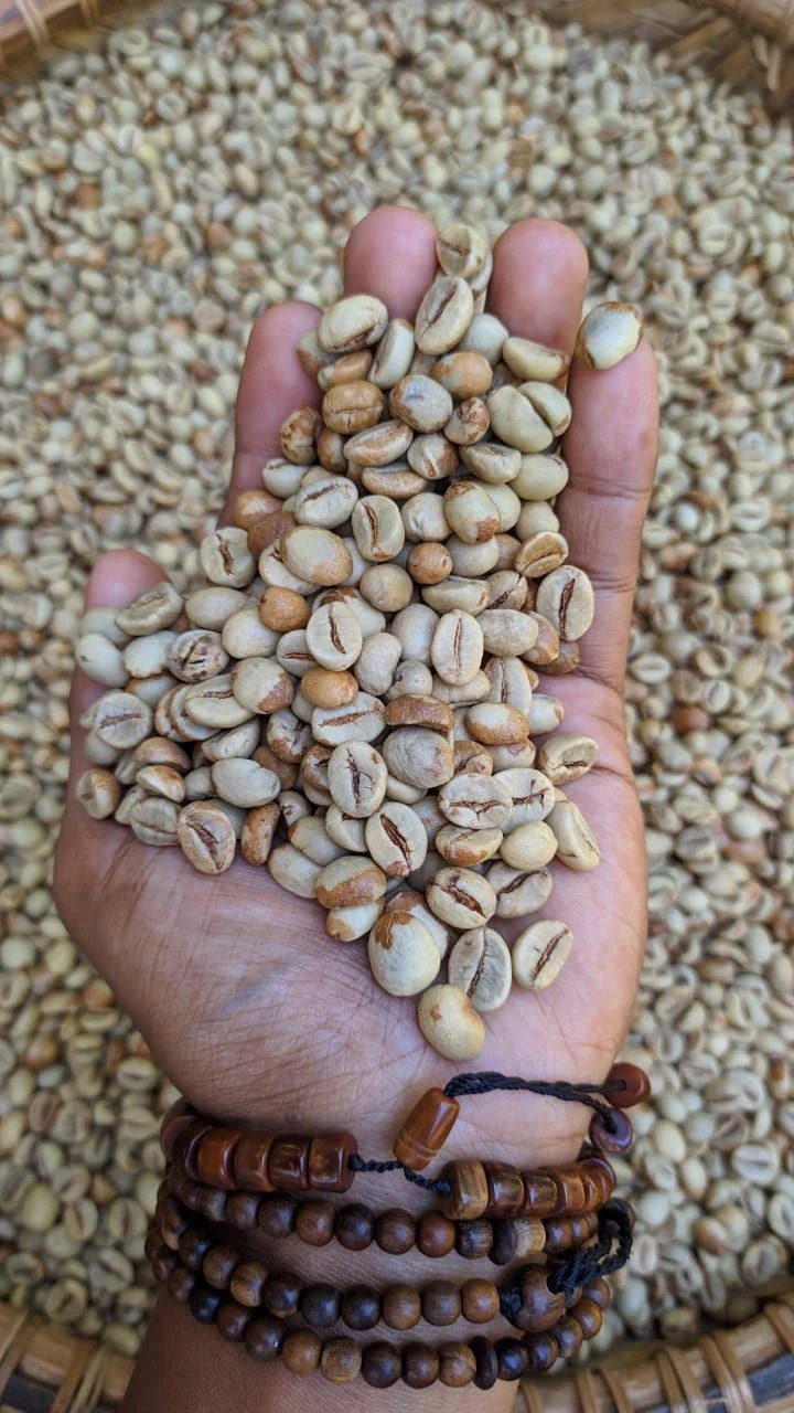 Buy Arabica Java Coffee Indonesia from Universal Coffee Bean, Indonesia ...