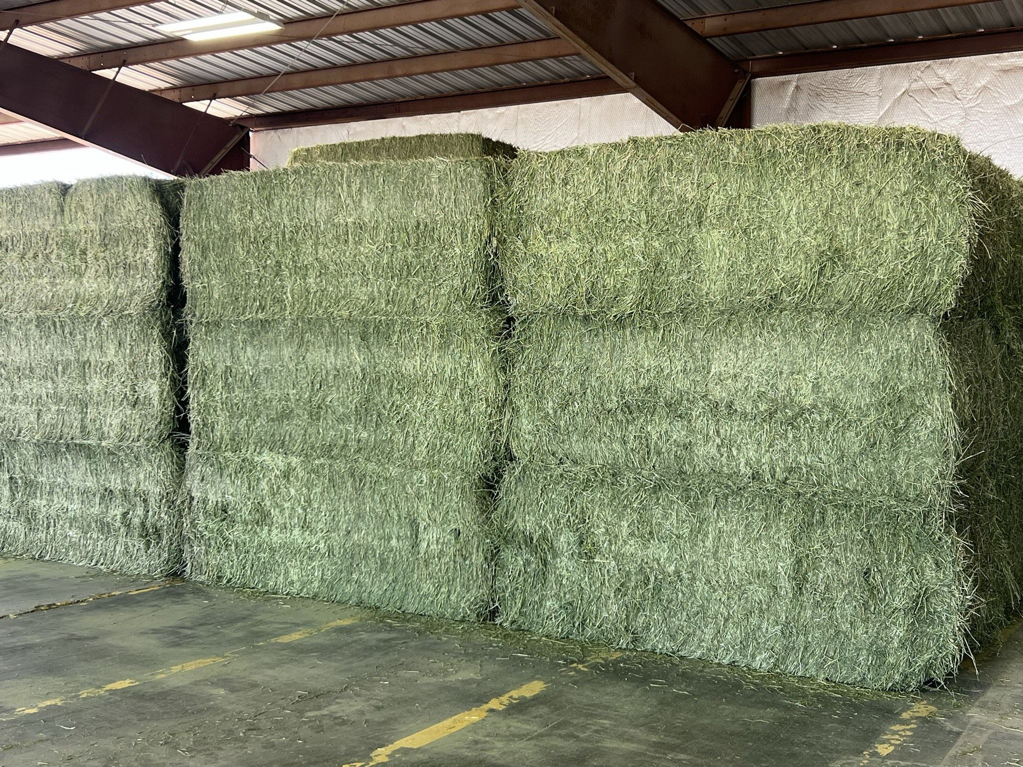 Buy Alfalfa For Sale All Qualities 3x4x8 Square Bales from CK Produce ...