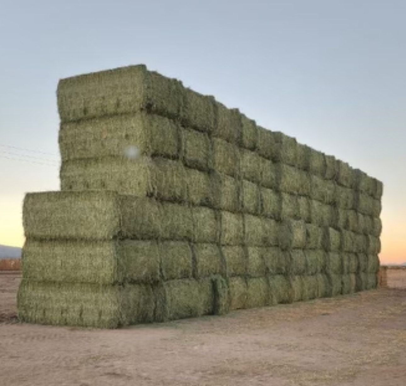 Buy Alfalfa For Sale All Qualities 3x4x8 Square Bales from CK Produce ...