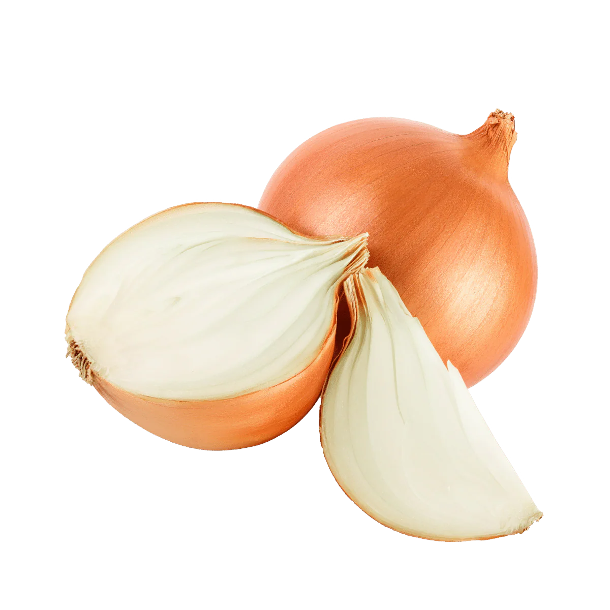 Buy Spanish Onions For Restaurants from Afrivet Trading Services, South ...