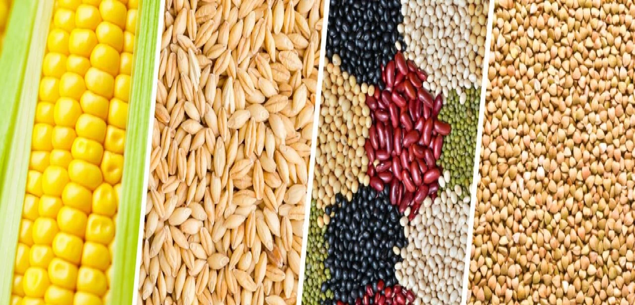 Buy Crops from PT BOJONG BUANA MINERALINDO, Indonesia | Tradewheel.com
