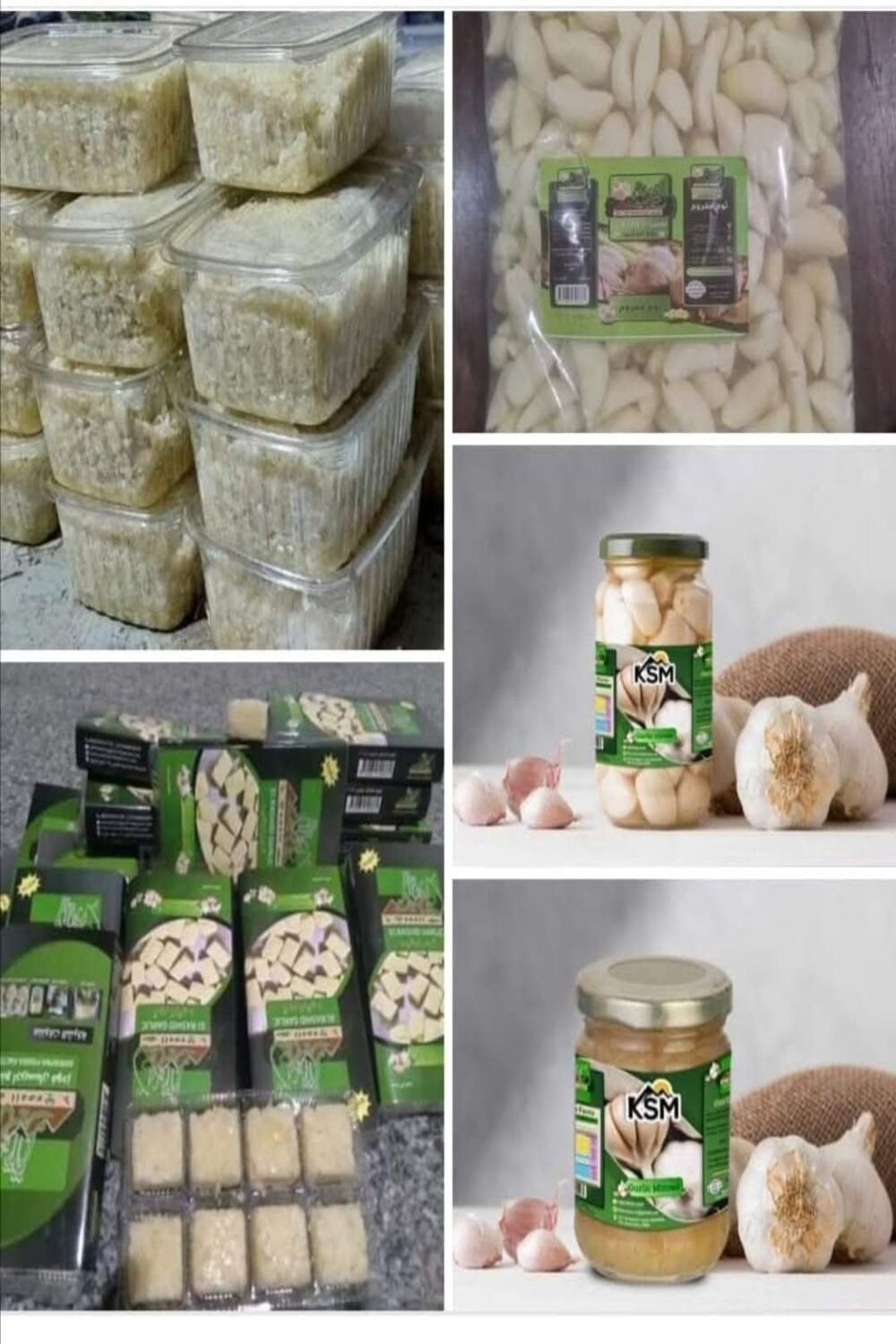 Buy Fresh Egyptian Garlic – High Quality from Organic Import & Export ...