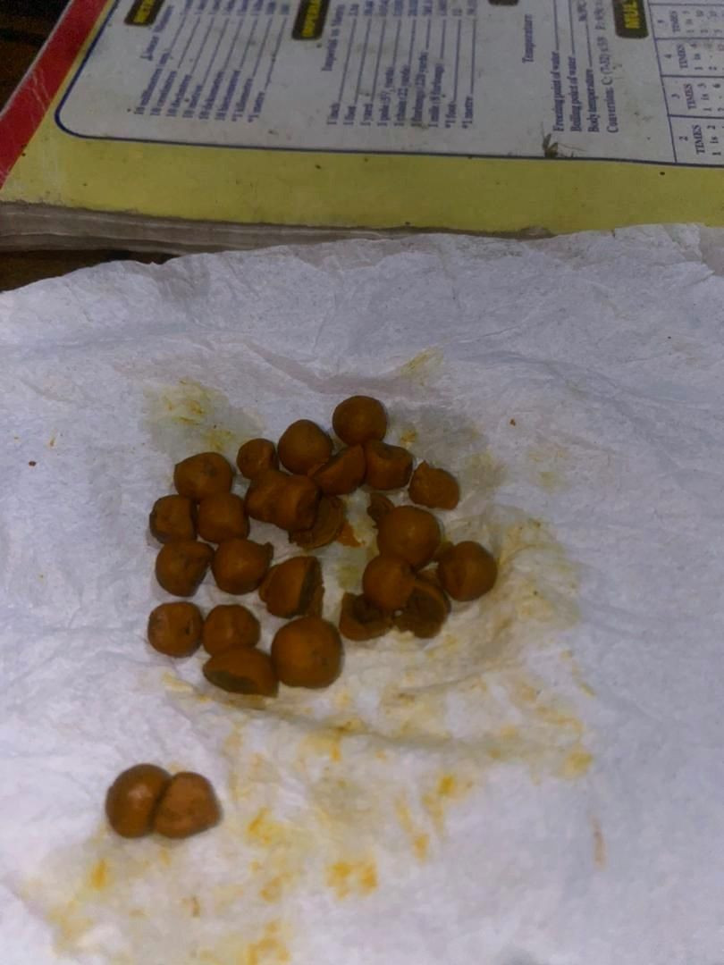 Buy Cow Gallstones from Anchor fisheries ltd., Tanzania | Tradewheel.com