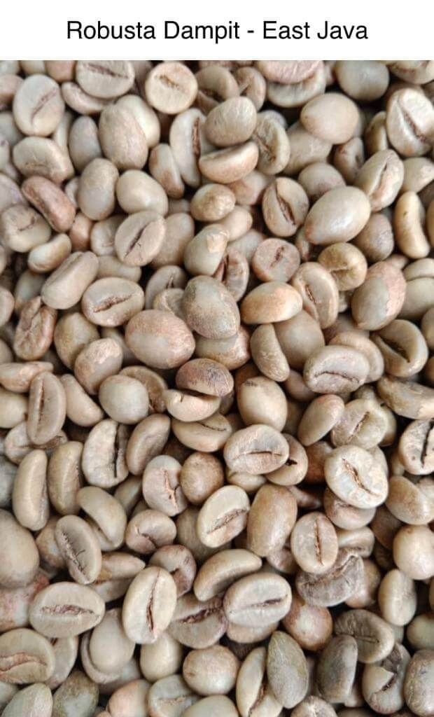Buy Robusta Dampit, East Java, Indonesian Coffee Beans from PT. Delapan ...