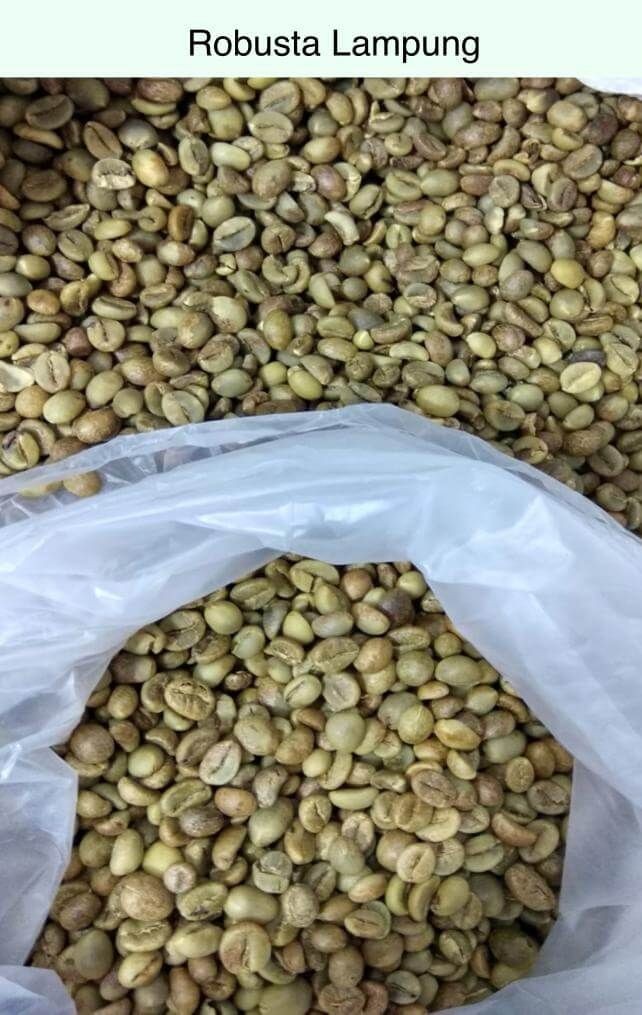 Buy Robusta Dampit, East Java, Indonesian Coffee Beans from PT. Delapan ...
