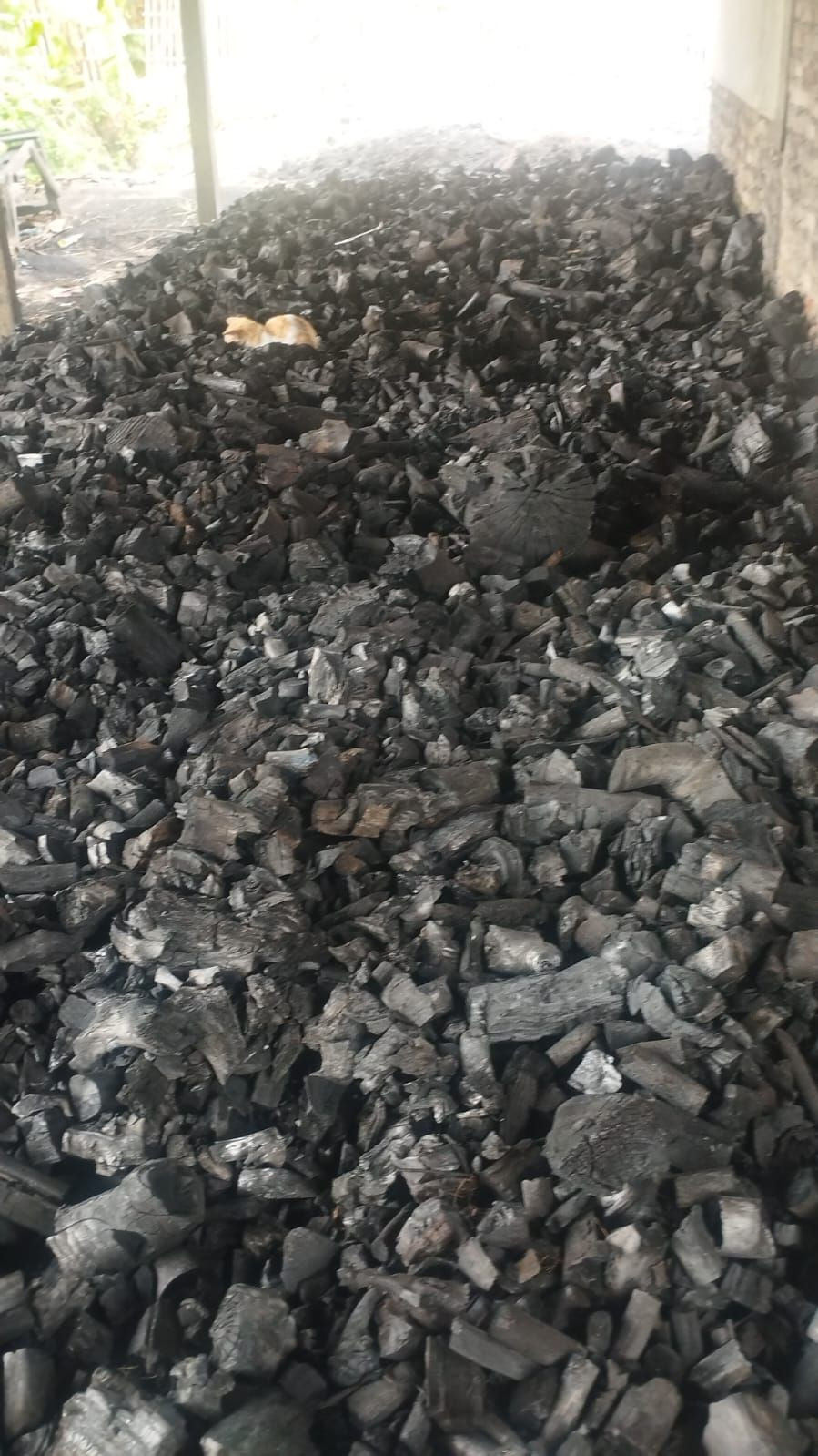 Buy Hardwood Charcoal Lump from Pt Shine Future Trading, Indonesia ...