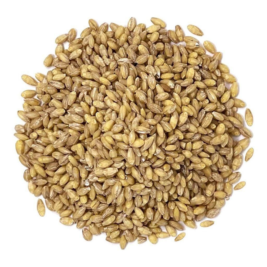 Buy Hulled Barley – Nutritious & Whole Grain, Ideal For Cooking ...