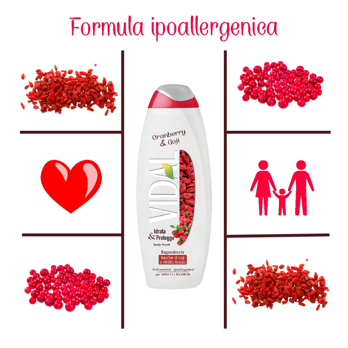 Buy Bath Foam Vidal 250 Ml Cranberry & Goji from GAIA TRADING SRL ...