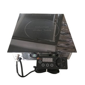 Buy Invisible Induction Cooker With Integrated Induction Cooktop Under ...