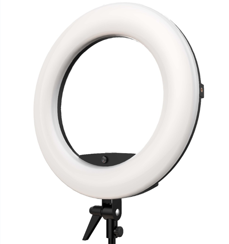 Buy Professional Fd-480ii Led Video Ring Light Lamp Makeup Bi-color ...