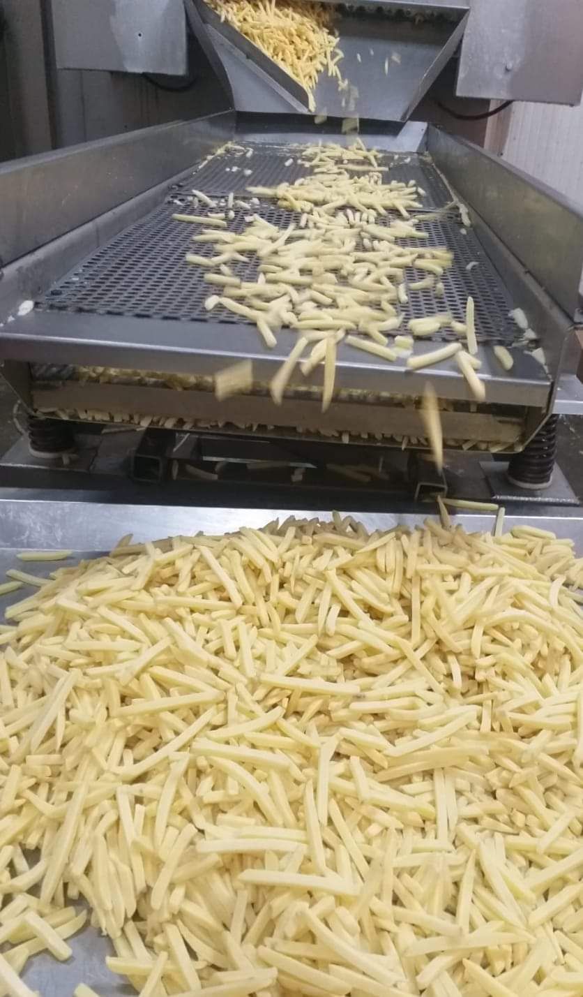Buy Fries from Zed Foods, Egypt | Tradewheel.com