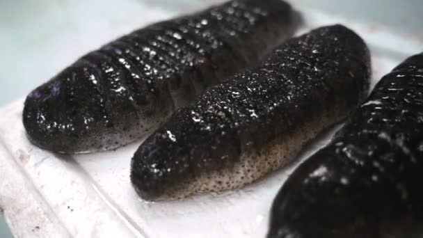 Buy Dried Sea Cucumber - Sand Fish from NAVAL TREASURE GROUP, Malaysia ...